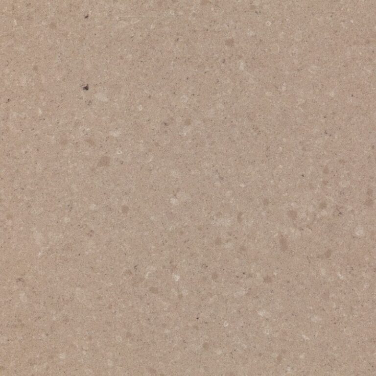 Quartz, Fossil Ammonite by Quartzforms - SMG